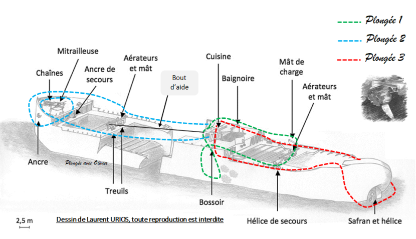 L' épave du Saumur, près de Port Vendres - Plongée avec Olivier